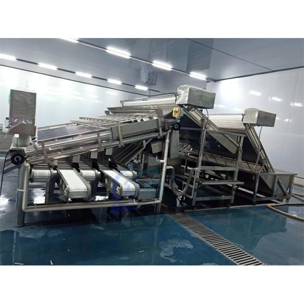 Quality 304 stainless steel 18 roller fish sorting machine Fish size screening machine for sale