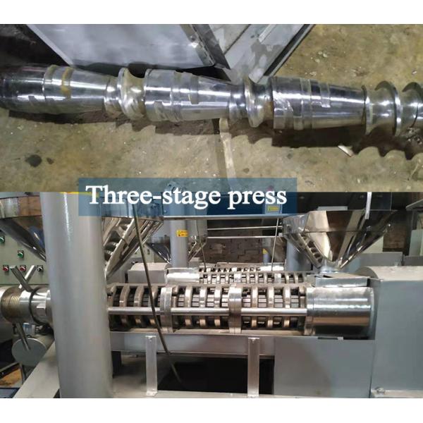 Quality Multifunction Commercial Oil Press Machine , Automatic Cottonseed Oil Machine for sale