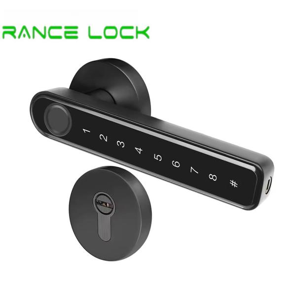 Quality Remote Control Fingerprint Door Lock Security Fingerprint Passcode Lock With for sale
