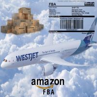 Quality Door To Door China To USA Amazon Air Freight for sale
