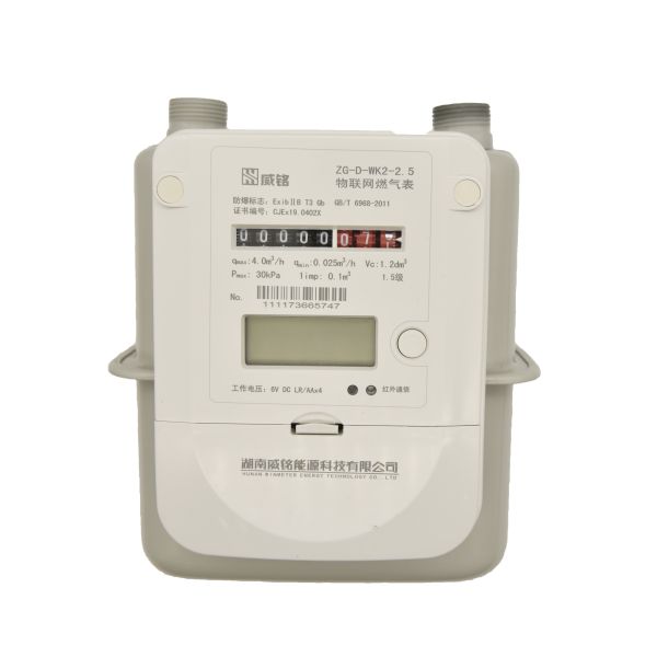Quality Intelligent  Smart Gas Meter Prepaid Gas Meter ZG-D-2.5 Insufficient Gas Warning for sale
