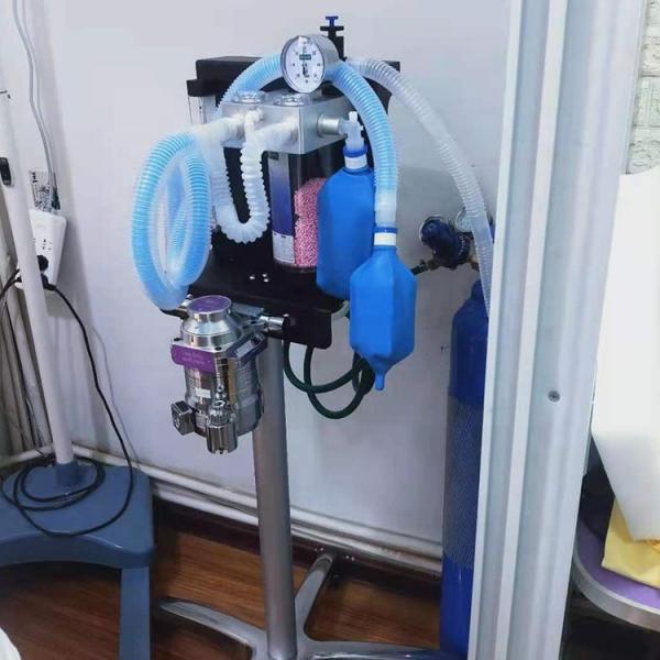 Quality Small Animal Anesthesia Machine Animals Surgery Use Veterinary Supplies for sale