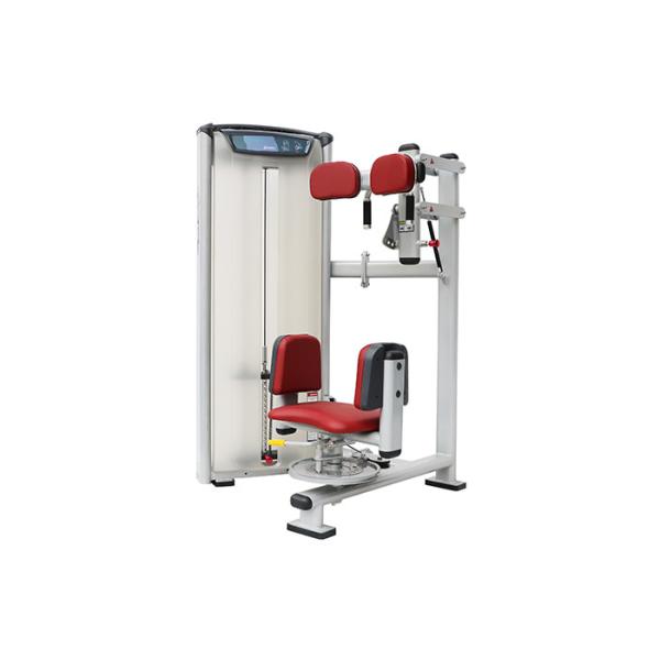 Quality Gym Use Matrix Strength Training Equipment Commercial Bodybuilding Rotary Torso for sale