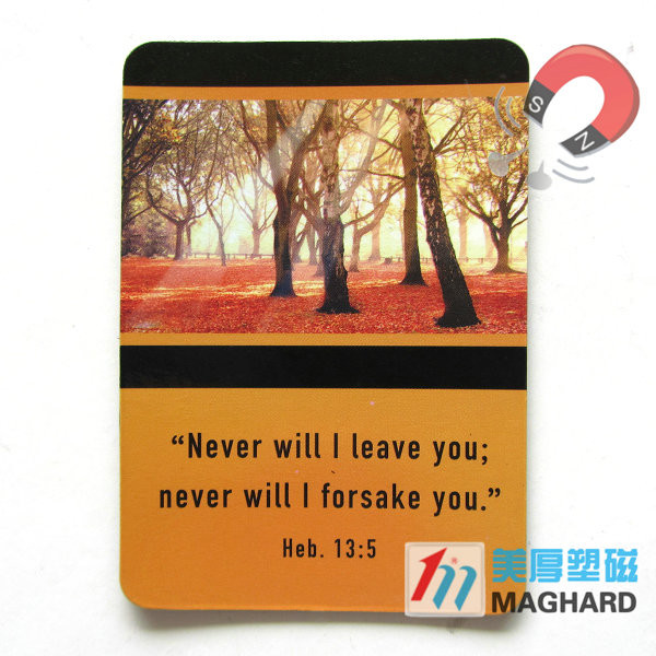 Quality Picture 4C Printing Advertising Fridge Magnets Personalized as Souvenir for sale