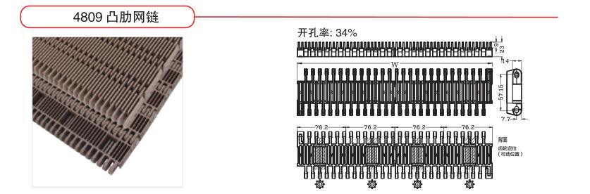 4809 Series Raised Rib Modular Belt for Sterilization Machine Line