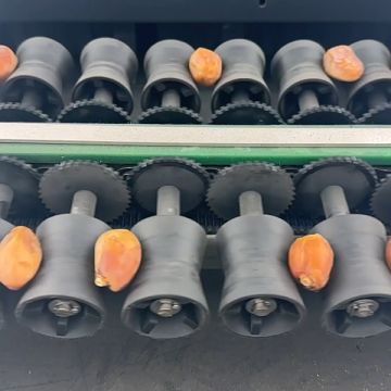 Quality Unlocking Efficiency Revolutionizing Palm Dates Sorting Machine with Cutting for sale