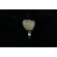 Quality Cylindrical Titanium Zirconia Screw Retained Dental Implant Natural Looking for sale