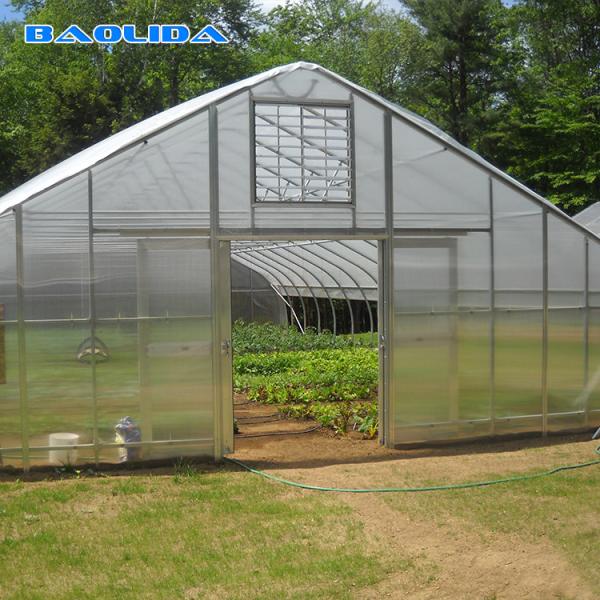 Quality Agricultural Singlespan Tunnel Plastic Film Tropical Greenhouse for sale