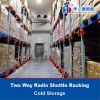 china Two Way Radio Shuttle Racking Pallet Runner Rack System For Cold Storage Cold