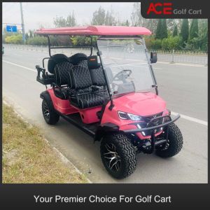 Quality Club 4 Passenger Street Legal Car 48V Utility Electric Golf Cart for sale