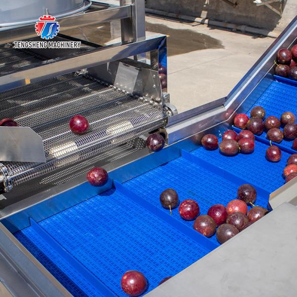 Quality Fruit And Vegetable Wool Roller Bubble Cleaning Machine 1500KG/H for sale