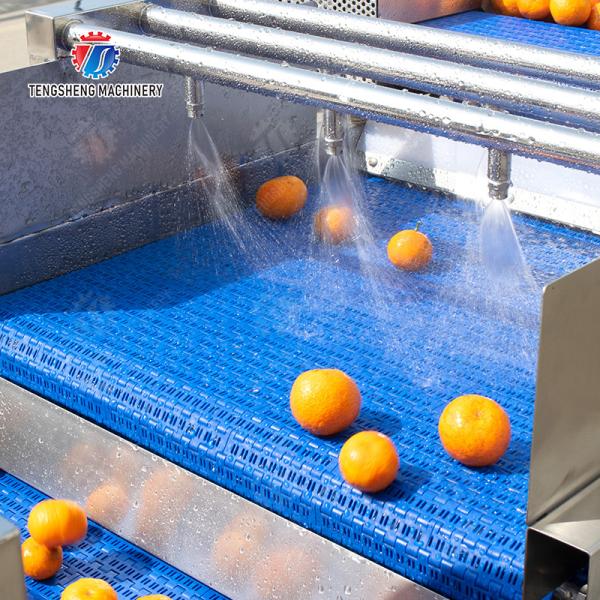 Quality vegetable drying equipment Fruit and vegetable selection washing and drying for sale