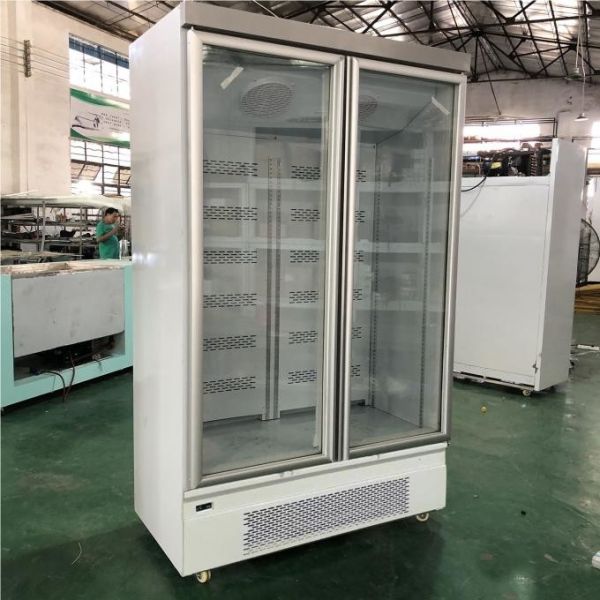 Quality 220V Upright Commercial Display Freezer Upright Display Bar Fridge With Glass for sale