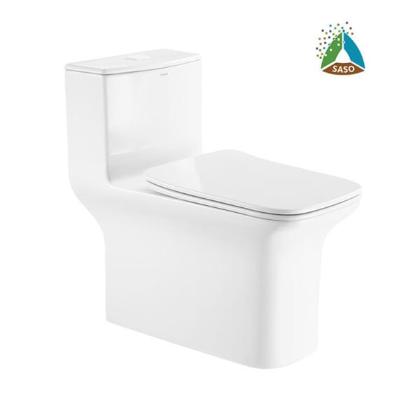 Quality SASO One Piece Toilets , Siphonic Dual Flush Ceramic Toilet Bowl for sale