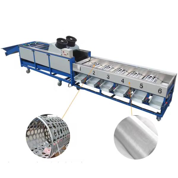 Quality Automatic Production Fruit And Vegetable Washer Machine Convenient Operation for sale