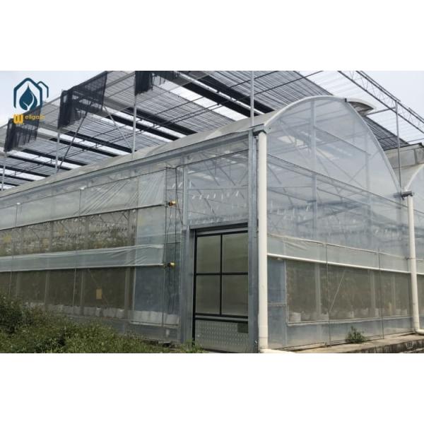 Quality Large Complete Waterproof Multi Span Greenhouse For Tomato Plant Growing for sale
