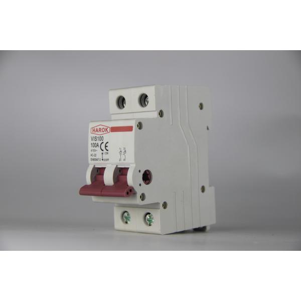 Quality Vis100 2p 80a Main Switch Isolating Circuit Breaker Household Function for sale