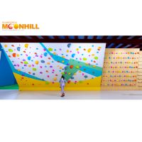 Quality Indoor Climbing Wall Training Board For Playground Adventure Park for sale
