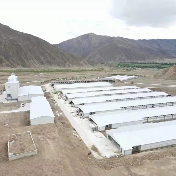 Quality Industrial Design Style Light Steel Poultry Chicken House for Hotel and Warehouse for sale