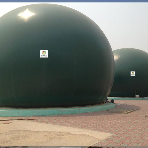 Quality Chicken Manure CSTR Tank Livestock Continuous Stirred Tank Reactor for sale