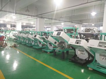 Quality 320 Channels 2-6T/H Throughput CCD Camera Optical Wheat Sorting Machine for sale