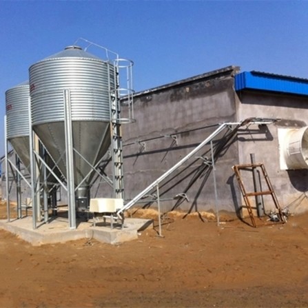 Quality Chain Feeding System Chicken Breeding Equipment for sale