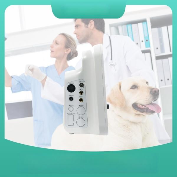 Quality Animal Specific Design Pet Pulse Oximeter Lightweight Long Range Connectivity for sale