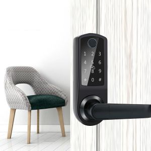 Quality TTlock Smart Keypad Door Lock 180mm Wifi Keyless Door Lock for sale
