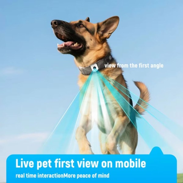 Quality Global Coverage GPS Tracker Multi-Pet Compatible Rechargeable Long Battery Life for sale