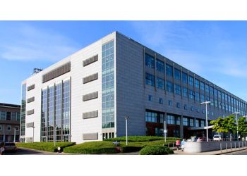 China Factory - Chongqing Yidaoyuan Trade Co., Ltd.