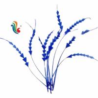 Quality Shipping DHL UPS FEDEX EMS TNT Event Party Supplies Stripped Rooster Coque for sale
