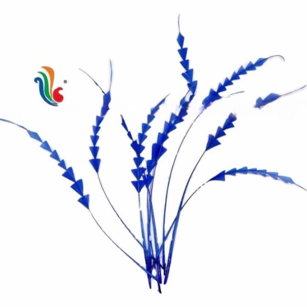 Quality Dyed Stripped Rooster Coque Feathers with Fast Shipping via DHL UPS FEDEX EMS for sale
