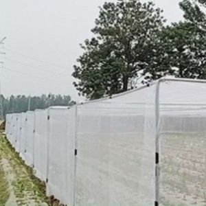 Quality 50mesh High Density Agriculture Insect Net 50-90gsm Vegetable Anti Insect Net for sale