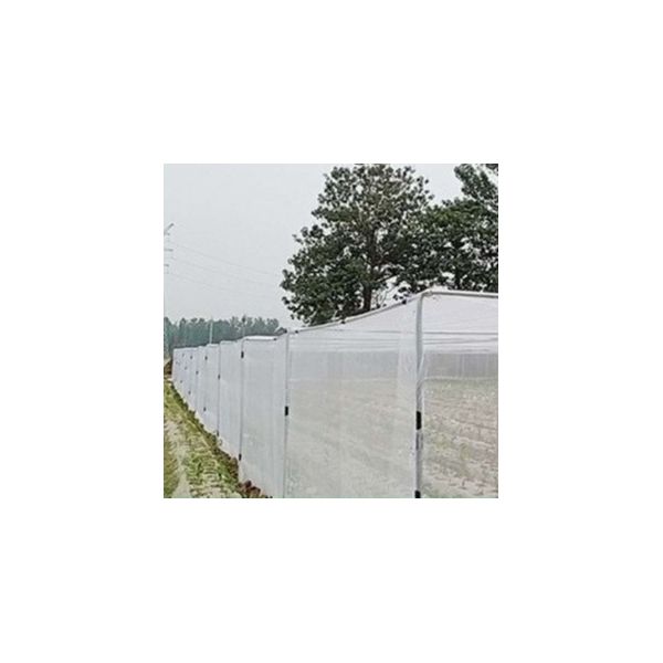 Quality 50mesh High Density Agriculture Insect Net 50-90gsm Vegetable Anti Insect Net for sale