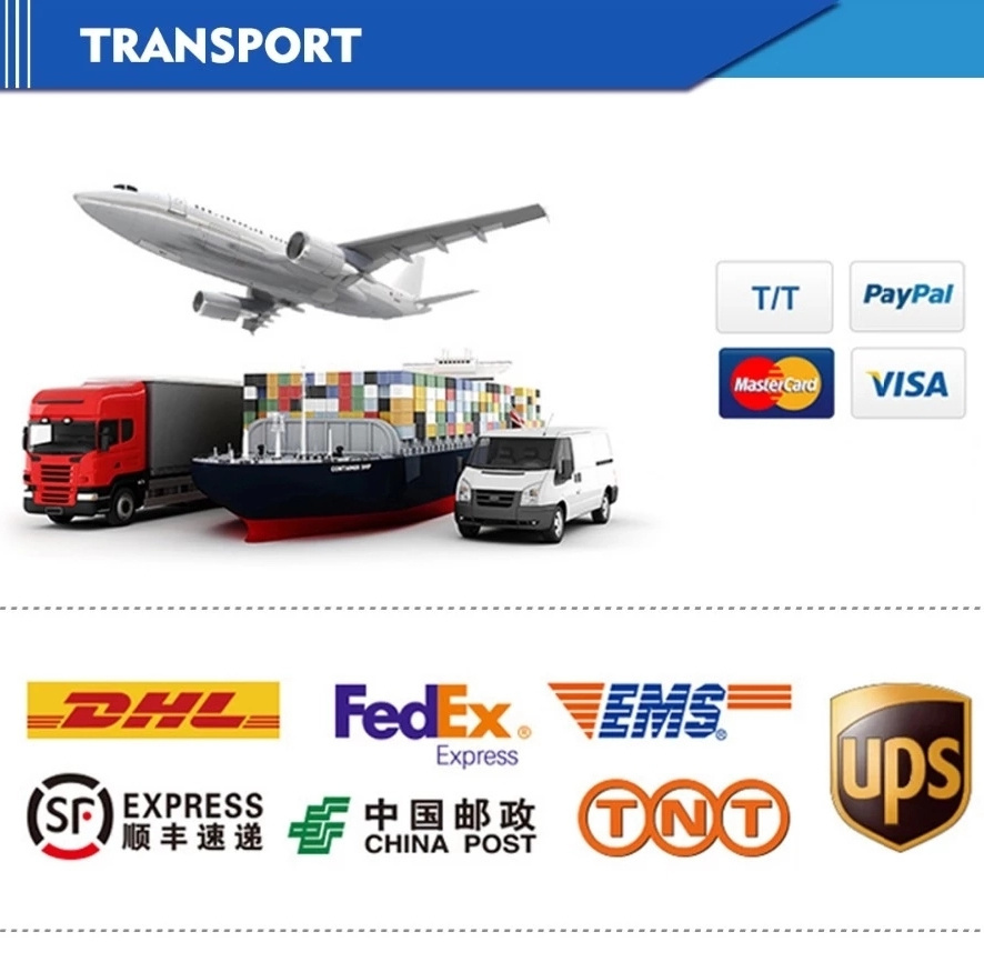 Special Applications Security Fasteners Customized Electric Appliance Screws Spare Part