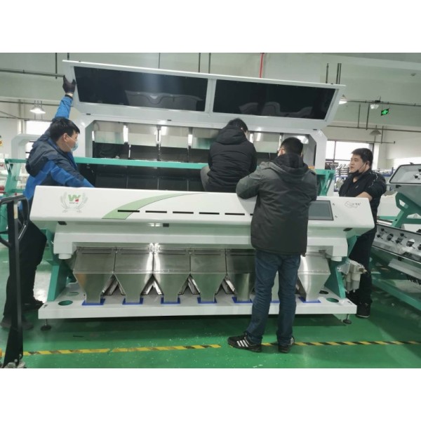 Quality Toshiba CCD Sensor White Sesame Color Sorter Machine For Black Spots for sale