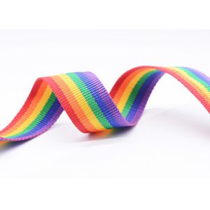 Quality T008 Rainbow Stripe Polyester Webbing Trim for sale