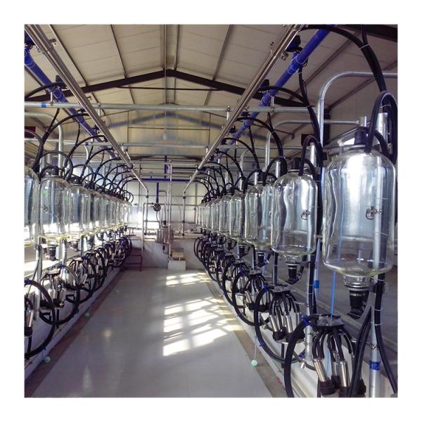 Quality Glass Jar Herringbone Type Cow Milking Parlour Automatic Milking System for sale