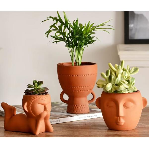 Quality Indoor Small Terracotta Plant Pots Stain Resistance for sale