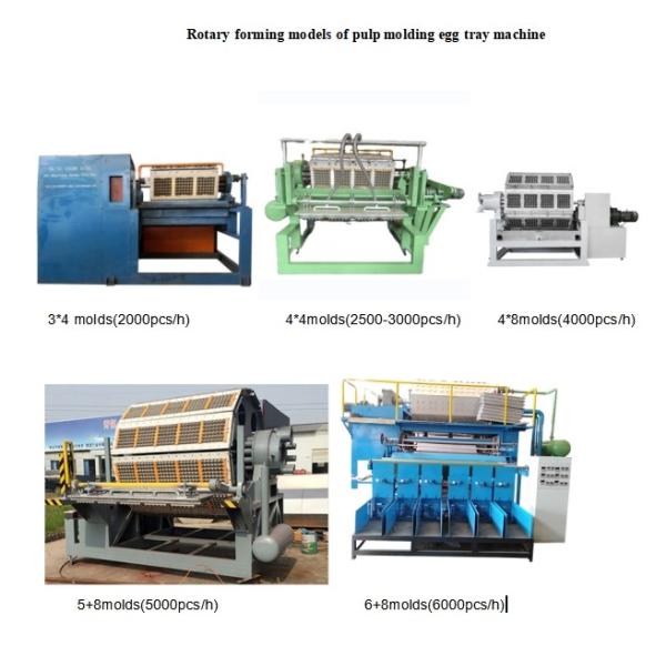 Quality 30-150kw Different Capacity Paper Egg Tray Machine With Advanced Technology for sale