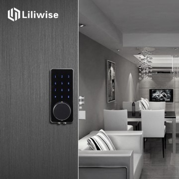 Quality Bluetooth Password Waterproof Electronic Door Lock For Residential for sale