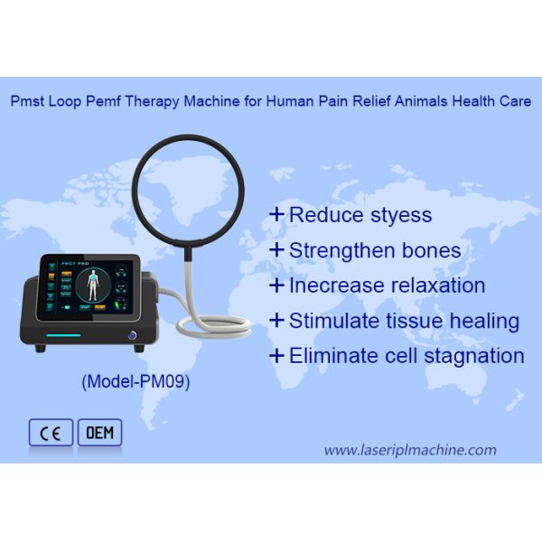 Quality Portable Magnetic Therapy Loop High Intensity Physio Magnetic Machine for sale