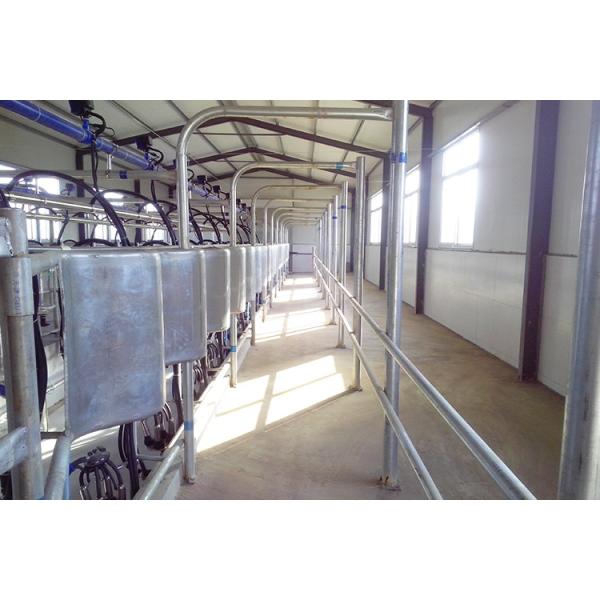 Quality Parallel Quick Release Automatic Cow Milking Parlor Electric Milk Meter for sale