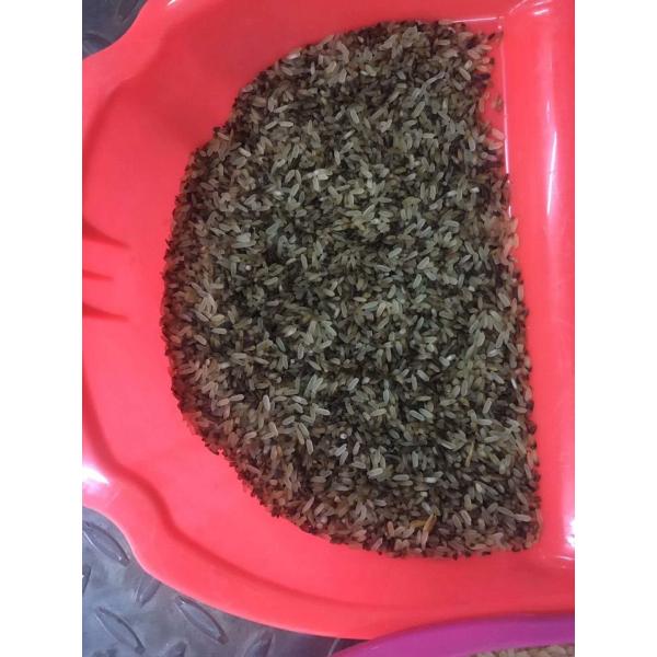 Quality WENAYO Multifunction Color Sorter Machine For Rice Grains Beans Plastic for sale