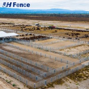 Quality Modular Cattle Panel System: Versatile & Quick-Connect Design for Custom Corrals for sale