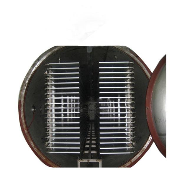 Quality 1000kg Freeze Drying Machine for sale