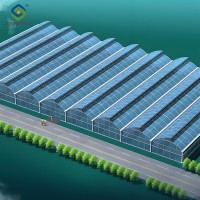 Quality OEM Gothic High Tunnel Greenhouse For Planting Tomato Strawberry Lettuce for sale