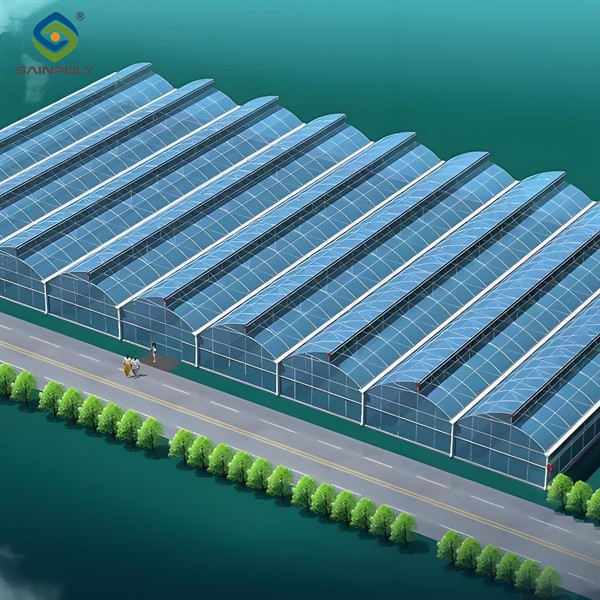 Quality Customization Span Large Commercial Greenhouse With Single PE Layer Frame 4m Height for sale