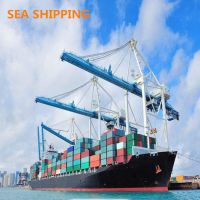Quality One Stop Service International Sea Shipping To USA for sale