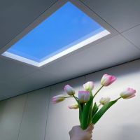 Quality SkyRay LED Skylight Lamp for Room Transformation, Natural Sunlight Effect, Ideal for Low-Light Environments for sale